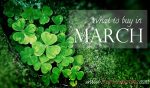 What to Buy in March {and What Not To Buy}