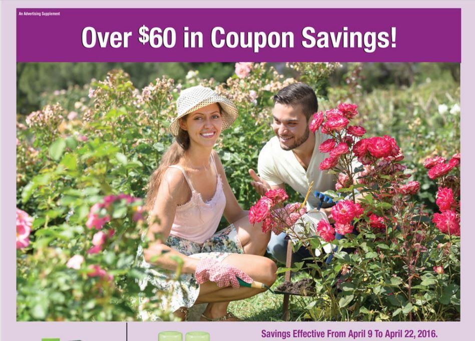 Publix Purple (Health & Beauty) Advantage Flyer 4/9 - 4/22