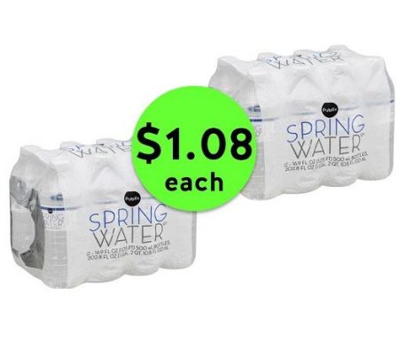 Refreshing & Cheap! Nab Publix Spring Water 6 Packs ONLY $1.08 Each at ...