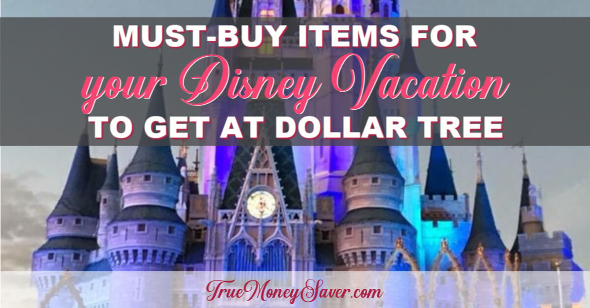 Must-Buy Dollar Store Items For Your Disney Trips