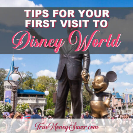 Tips To Get The Most On Your First Disney Dream Vacation