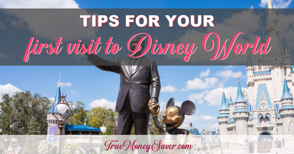 Tips To Get The Most On Your First Disney Dream Vacation