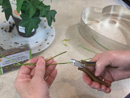 How To Make A Climbing Plant Into A Topiary Gift In Under 30 Minutes