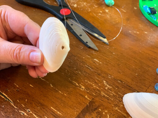 How To Make Really Pretty (& Inexpensive) Seashell Wind Chimes