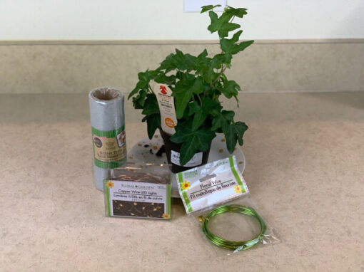 How To Make A Climbing Plant Into A Topiary Gift In Under 30 Minutes