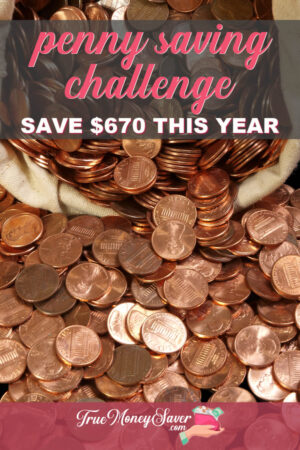 Start A Penny Challenge And Save More Money This Year!