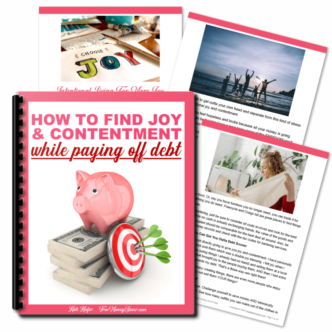 How To Easily Use The Publix Digital Coupons at Publix