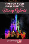 Tips To Get The Most On Your First Disney Dream Vacation
